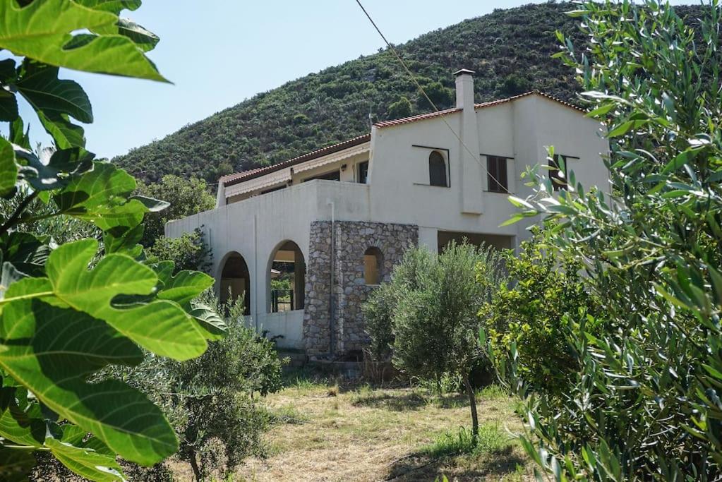 Spectacular views, space & privacy, Áyios Andréas Arkadias – Updated ...