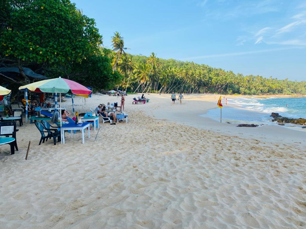 Chico Green - Tangalle, Tangalle (updated prices 2024)