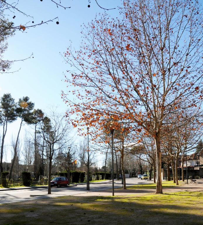 SUKI HOUSE Chalet 1, Madrid (updated prices 2025)