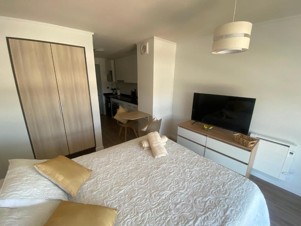 Departamento Studio Isla Teja, Valdivia (precios actualizados 2025)