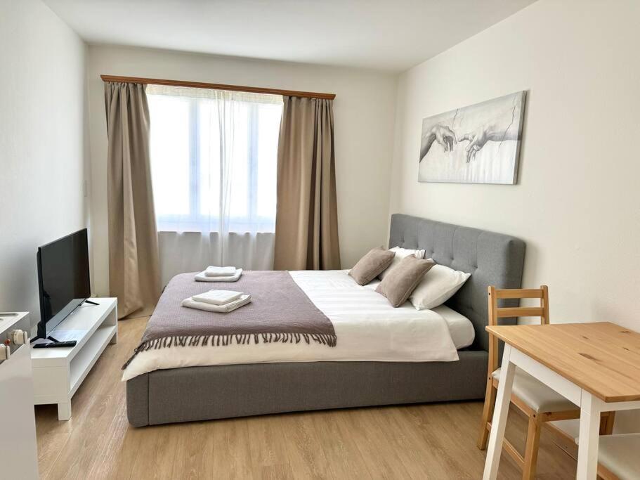 Cosy Studio in Zurich City, Zúrich (precios actualizados 2024)