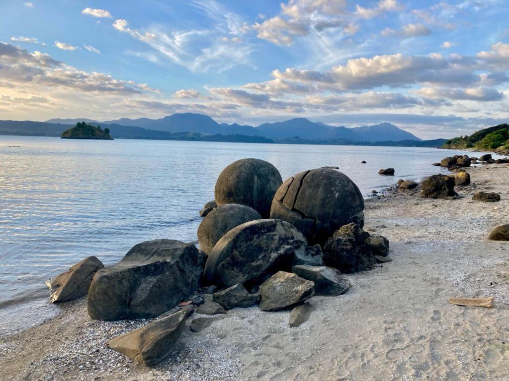 Costal Canvas opononi, Opononi (precios actualizados 2025)