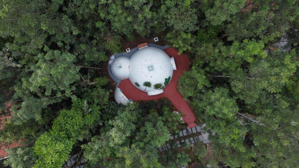 One piece stay, Chikmagalur (precios actualizados 2025)