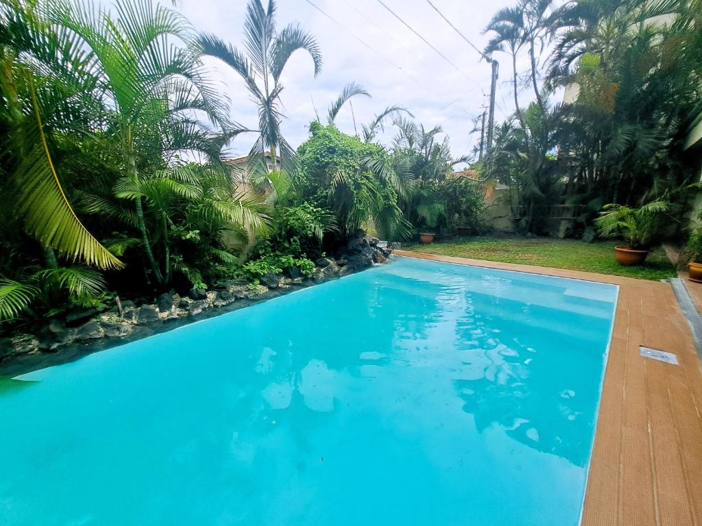 Joao Di Lisboa - Centre St Pierre - Piscine, Saint-Pierre (updated ...