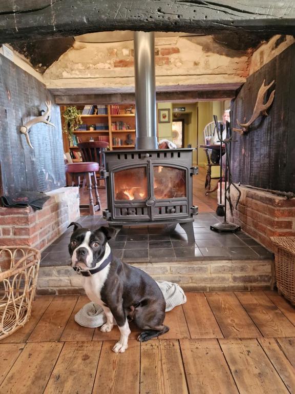 The Duke on The Test, Romsey (updated prices 2025)