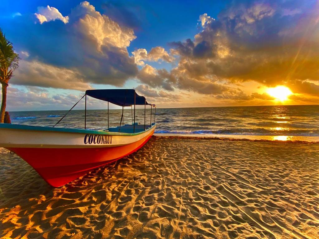 Coconut Row Boutique Hotel, Hopkins (updated prices 2025)