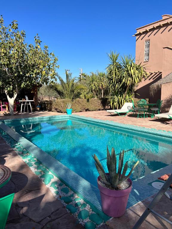 Manzal Lahbab, 2Villas 2Bungalows 2Piscines et Jardins, Marrakech ...