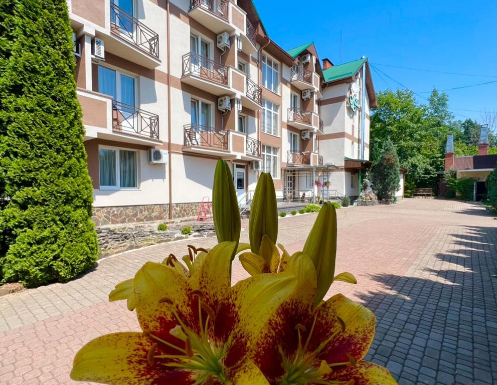 Lileya Hotel, Polyana (updated prices 2025)