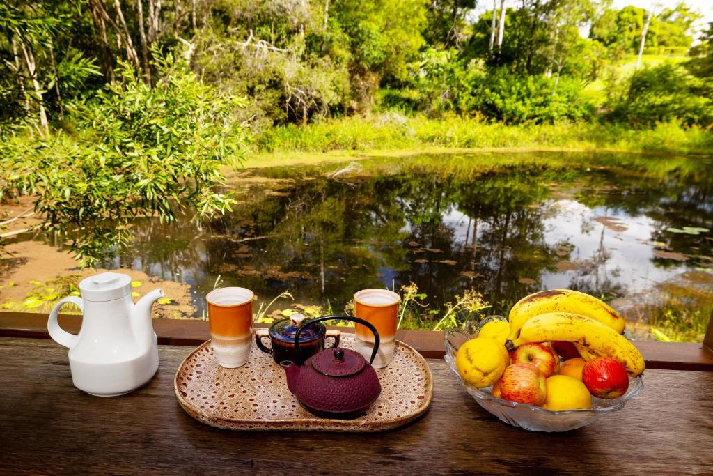 Deluxe Suite with Fireplace & Pond, Noosa Hinterland, Doonan (updated ...