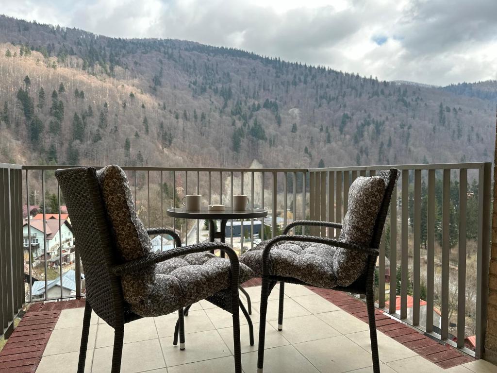 COLETTE Studio BelleView, Sinaia (updated prices 2025)