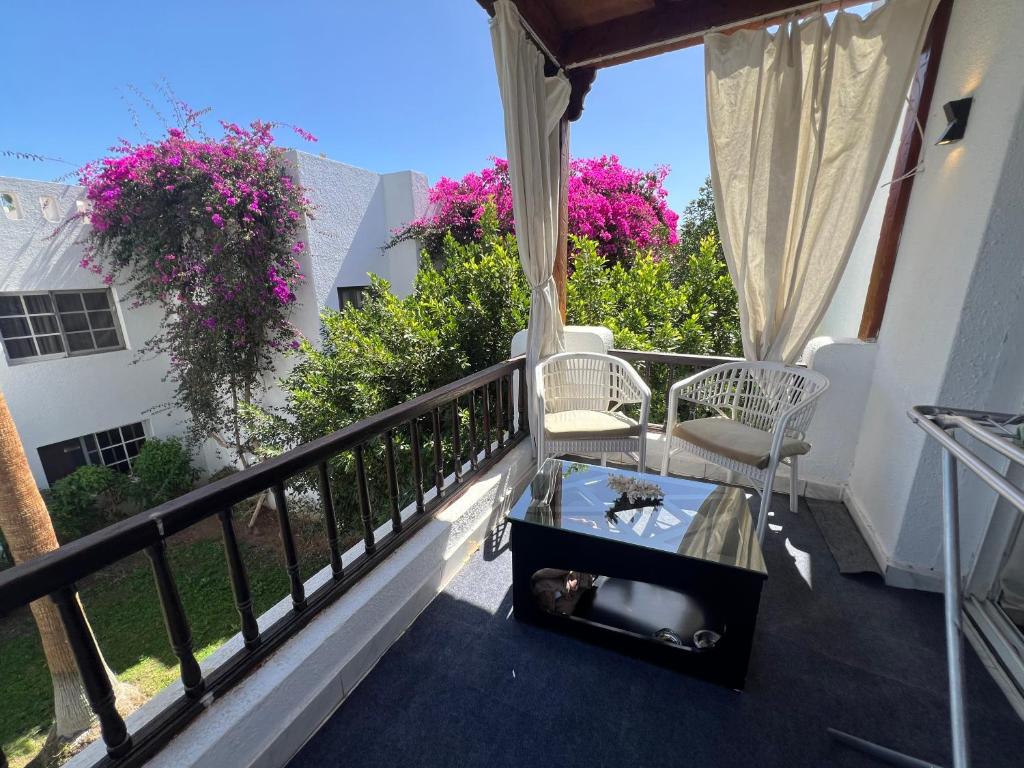 Delta sharm, Sharm El Sheikh – Updated 2024 Prices