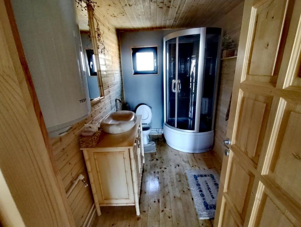 Dream view of Apuseni, Rîmeţi (aktualisierte Preise für 2024)