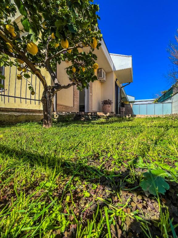 Villa Limone Vasto - Casa Vacanza con Giardino Privato -, Vasto ...