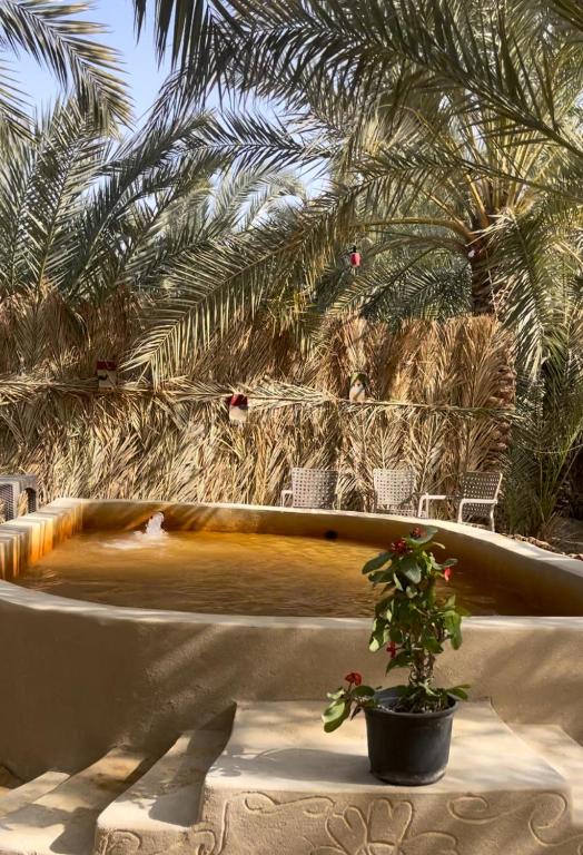 Siwa Palace Lodge, Siwa (updated prices 2025)