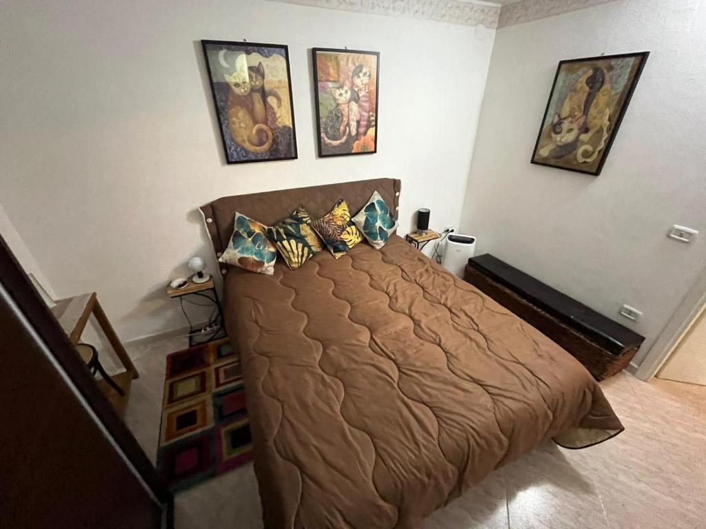 La casetta di Ulisse Minicasa per amici, Vibo Valentia (updated prices ...