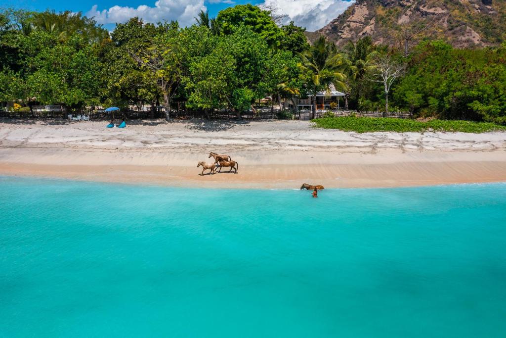 Scar Reef Resort - Beachfront Paradise HALF BOARD or NIGHT STAY ...