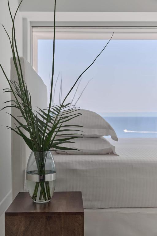 OLYN VILLAS, Nikiti (updated prices 2025)