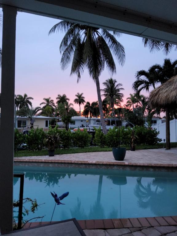 Tiki Pool Water Front Paradise, Pompano Beach (updated prices 2025)