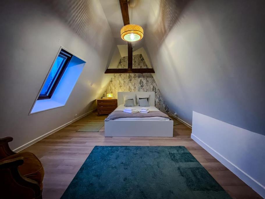 Le Bobo-Chic • L'inattendu en Hyper-centre • Fibre, Châteauroux ...