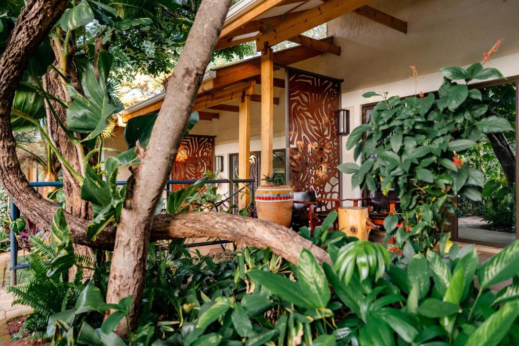 Shongwe Oasis, Victoria Falls (updated prices 2025)
