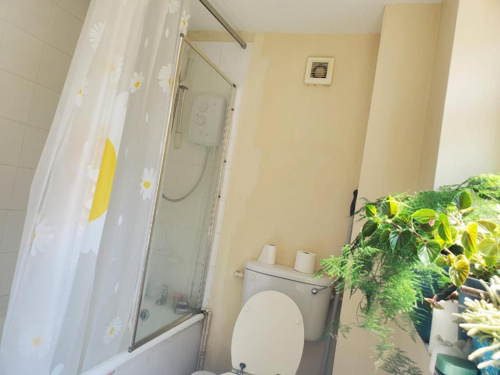 Lovely Stay in Circus Street, Oxford (precios actualizados 2024)