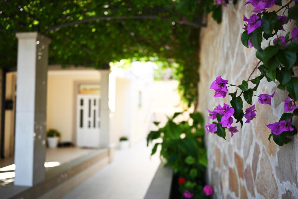 Hvar Villa Malisko Apartments, Hvar (updated prices 2026)