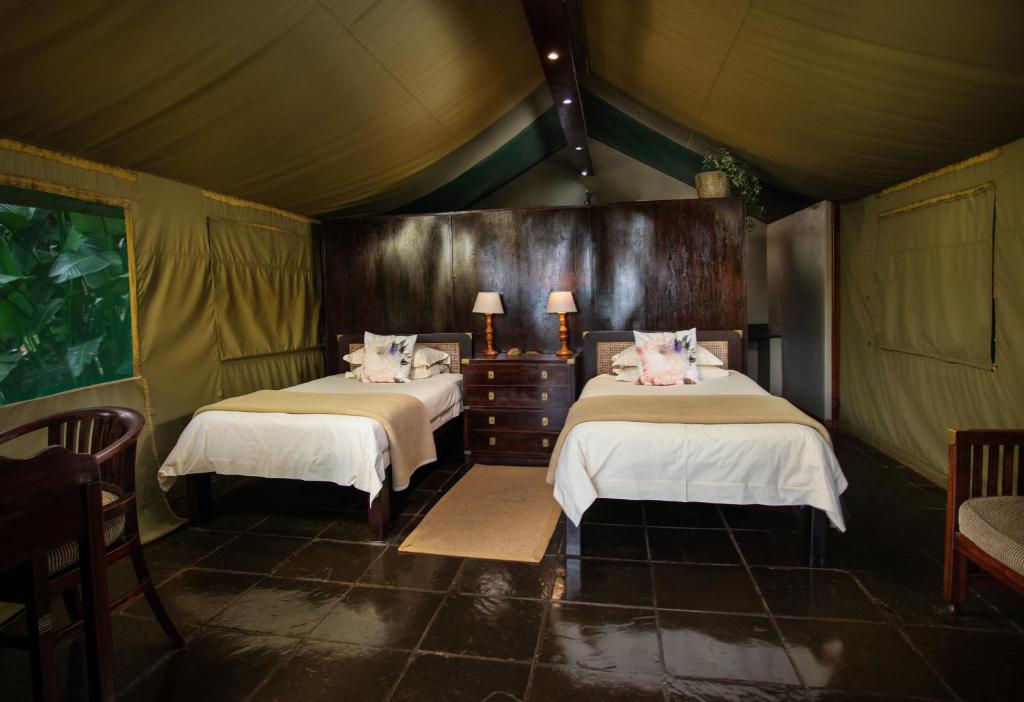 Falaza Game Park and Spa, Hluhluwe (updated prices 2025)