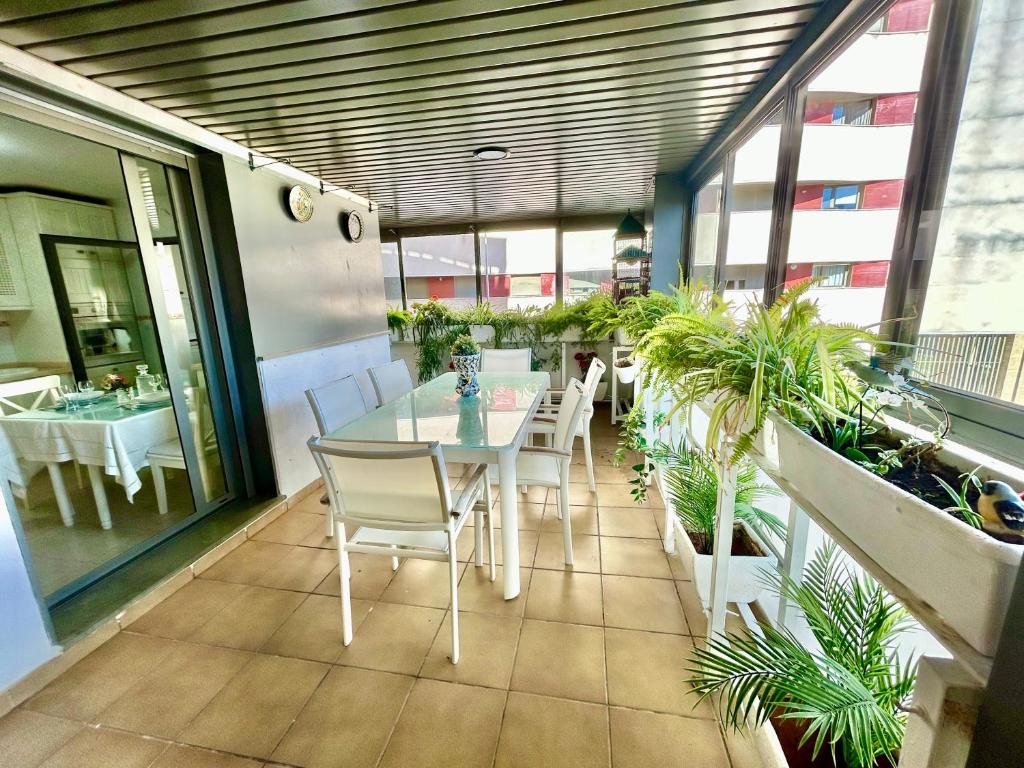 GATU Cream " Preferente mayores de 25 años y familias ", El Puerto de Santa María (updated ...