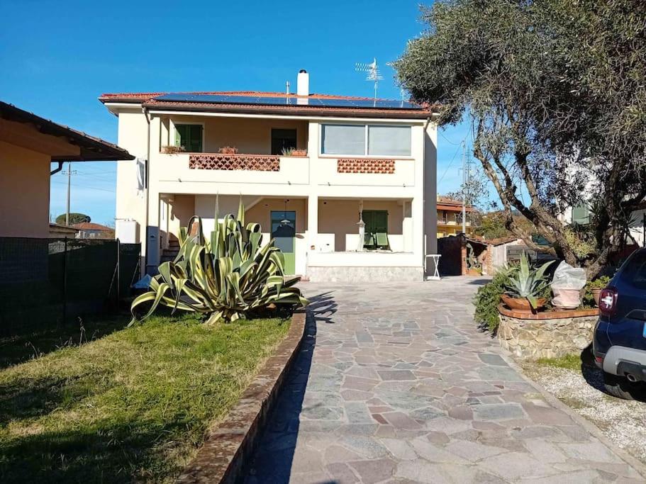 Cà degli Aredi - citra (011011-LT-0106), Castelnuovo Magra (precios ...