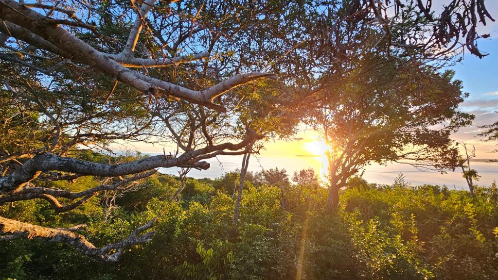 Casa Karibu at Santa Maria Machangulo Mozambique, Santa Maria (updated ...