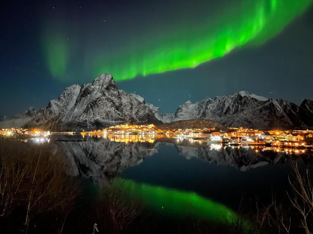 Husly Reine, Reine (updated prices 2024)