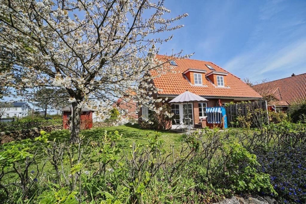 Nis-Puk, Norddorf (updated prices 2025)