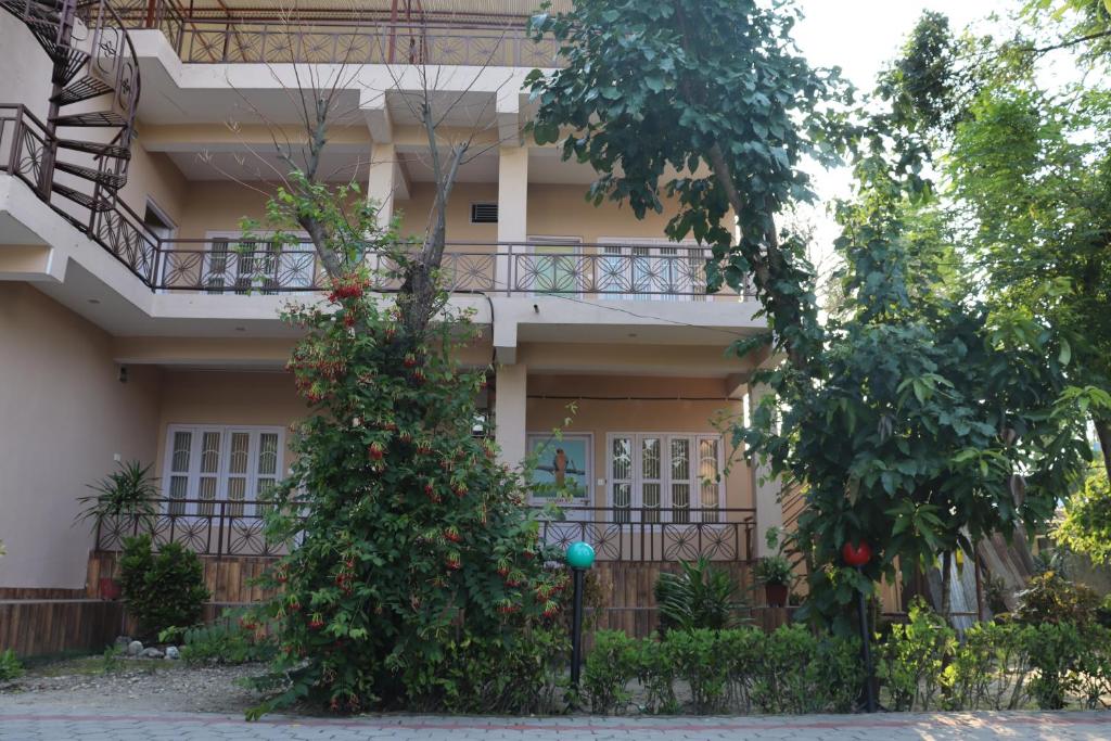 Eco Adventure Resort, Sauraha (updated prices 2025)