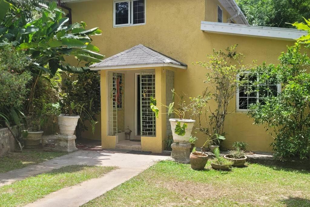 The African Lily, Kingston (updated prices 2026)