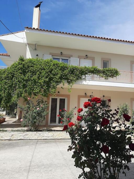 studios Mona, Agios Georgios (precios actualizados 2025)