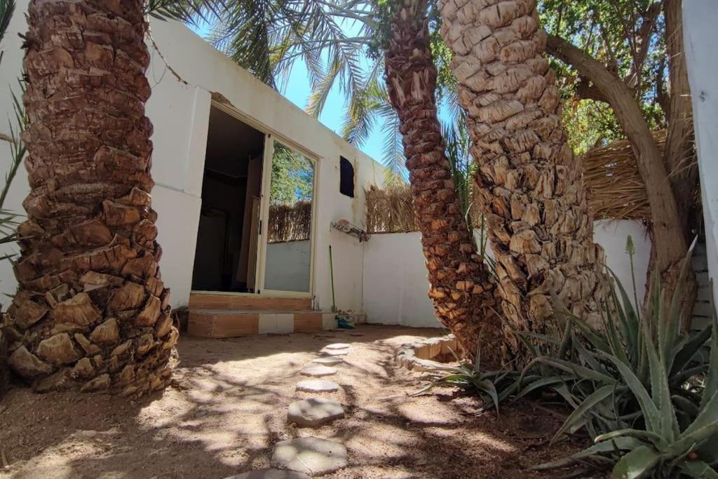 Palm House, Dahab (updated prices 2026)