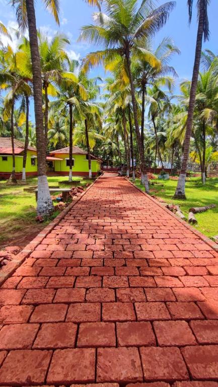 Coco Hut , Devbaug, Malvan (updated prices 2026)