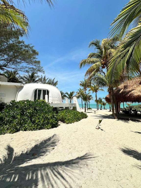 Playa privada con casa entera y palapa, Ciudad del Carmen (updated ...