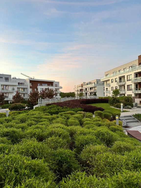 Altoria Active Gdynia, Gdynia (aktualisierte Preise für 2025)