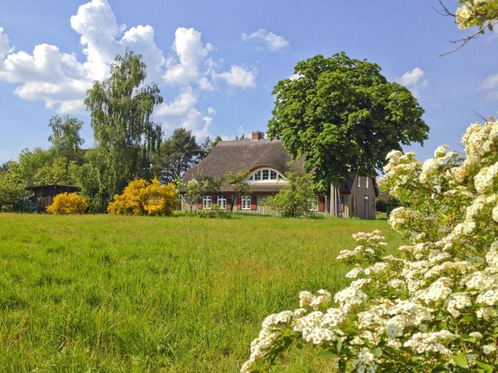 Old boatman's house, Wieck – Updated 2024 Prices
