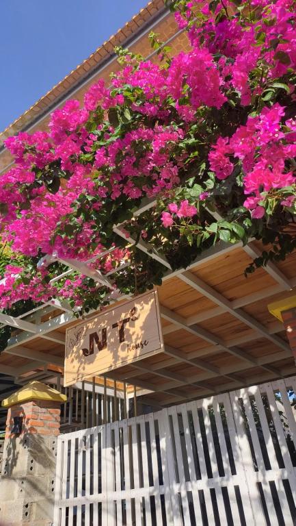 NT House, Da Nang (updated prices 2025)