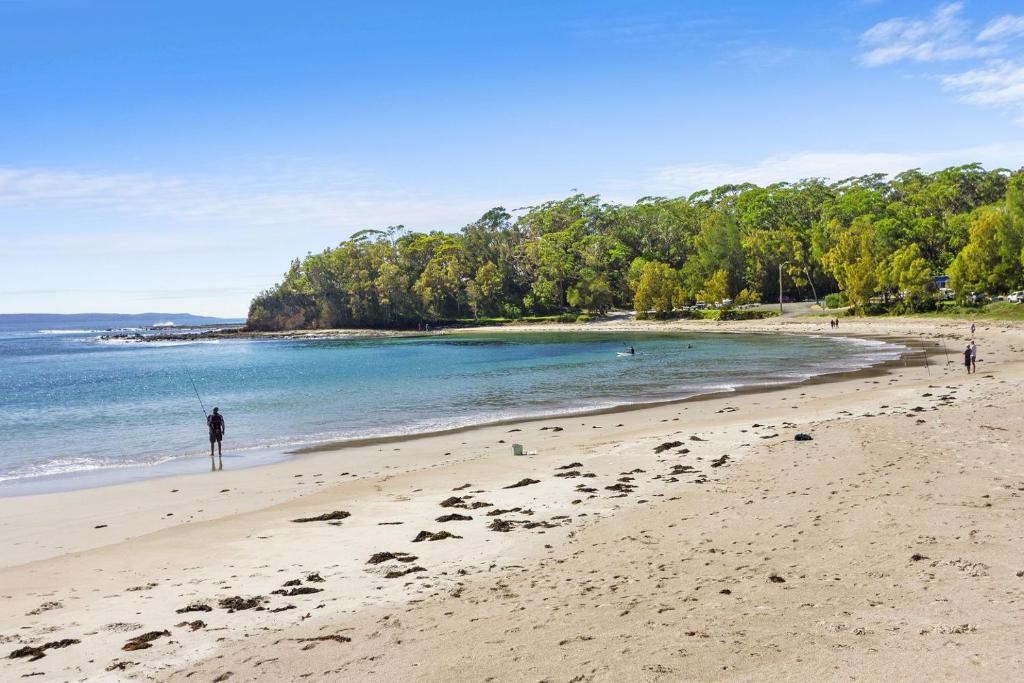 Manta Ray on Washerwomans, Manyana (updated prices 2025)