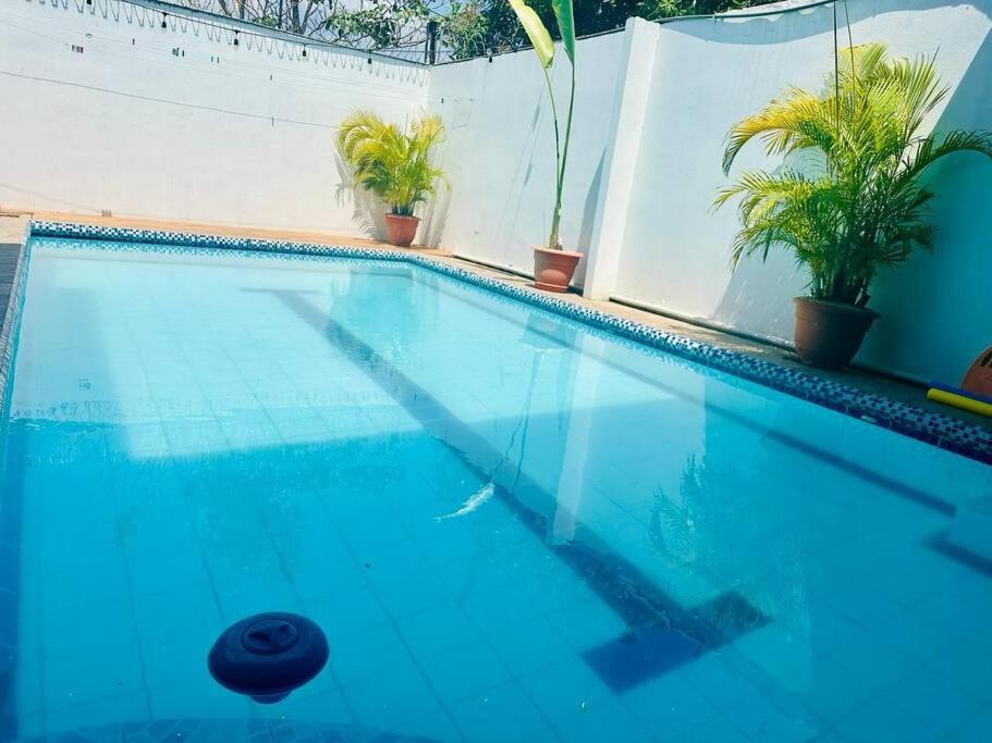 Casa Morley, Jacó (updated prices 2025)