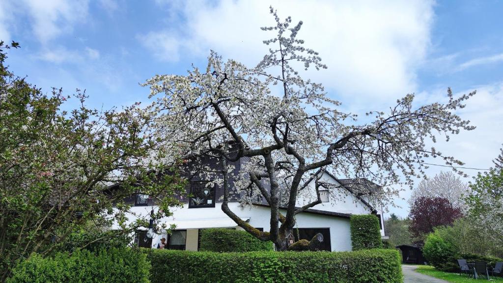 Sauerland-Alm, Hallenberg (aktualisierte Preise für 2026)