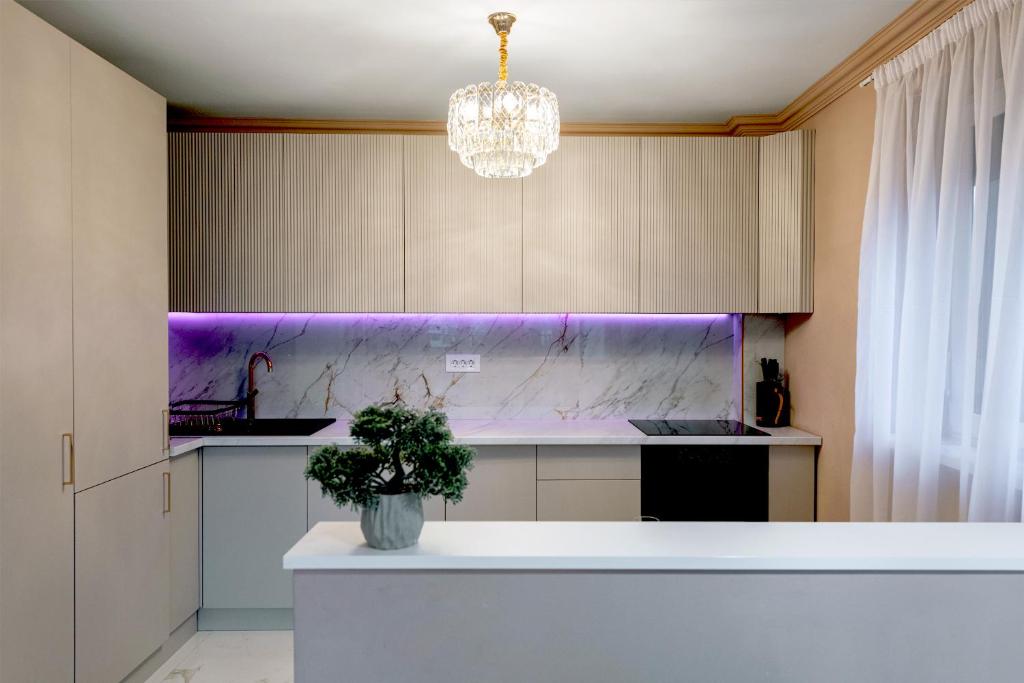 The Episode - Jacuzzi Penthouses, Cluj-Napoca (updated prices 2025)