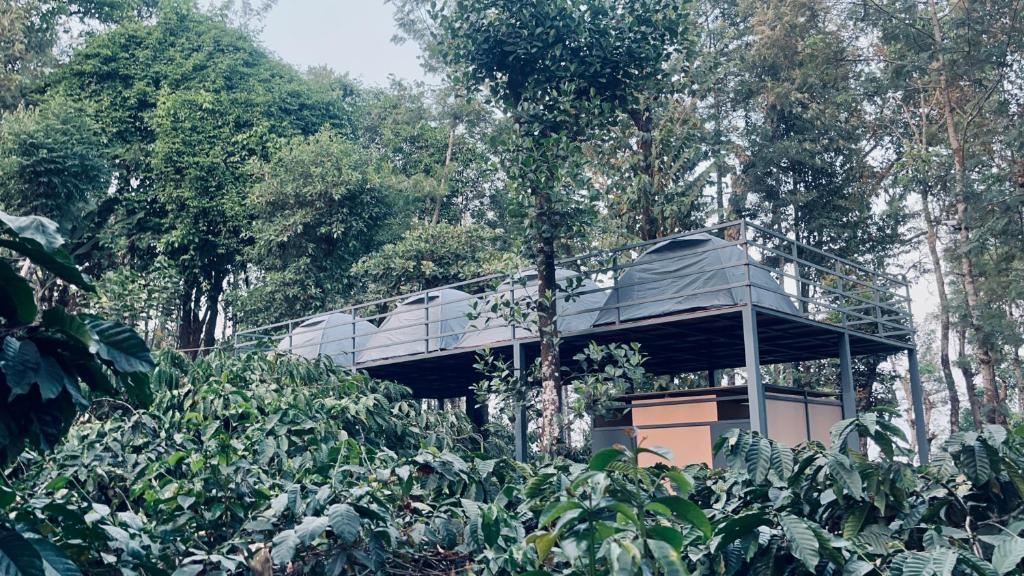 EMs Campsite, Jambur (updated prices 2025)