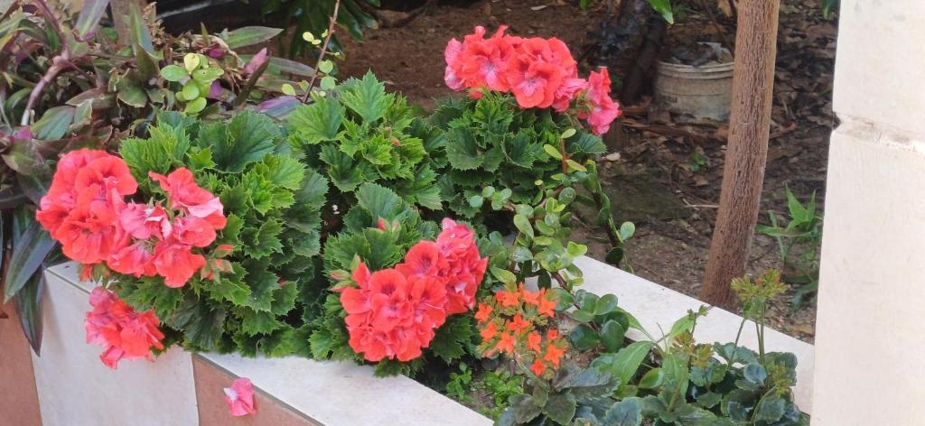 Cosy spacious maisonette, Marsaskala – Updated 2024 Prices