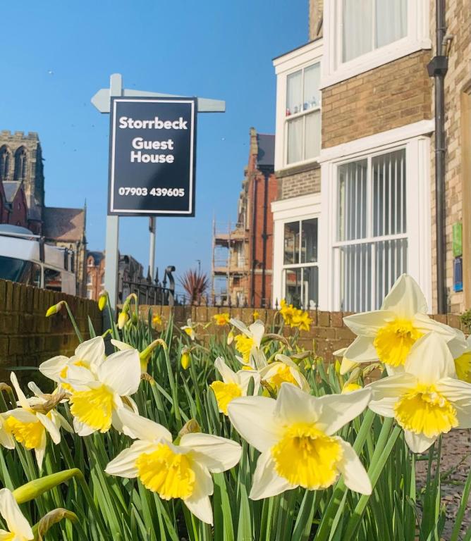 Storrbeck Guest House, Whitby (updated prices 2026)