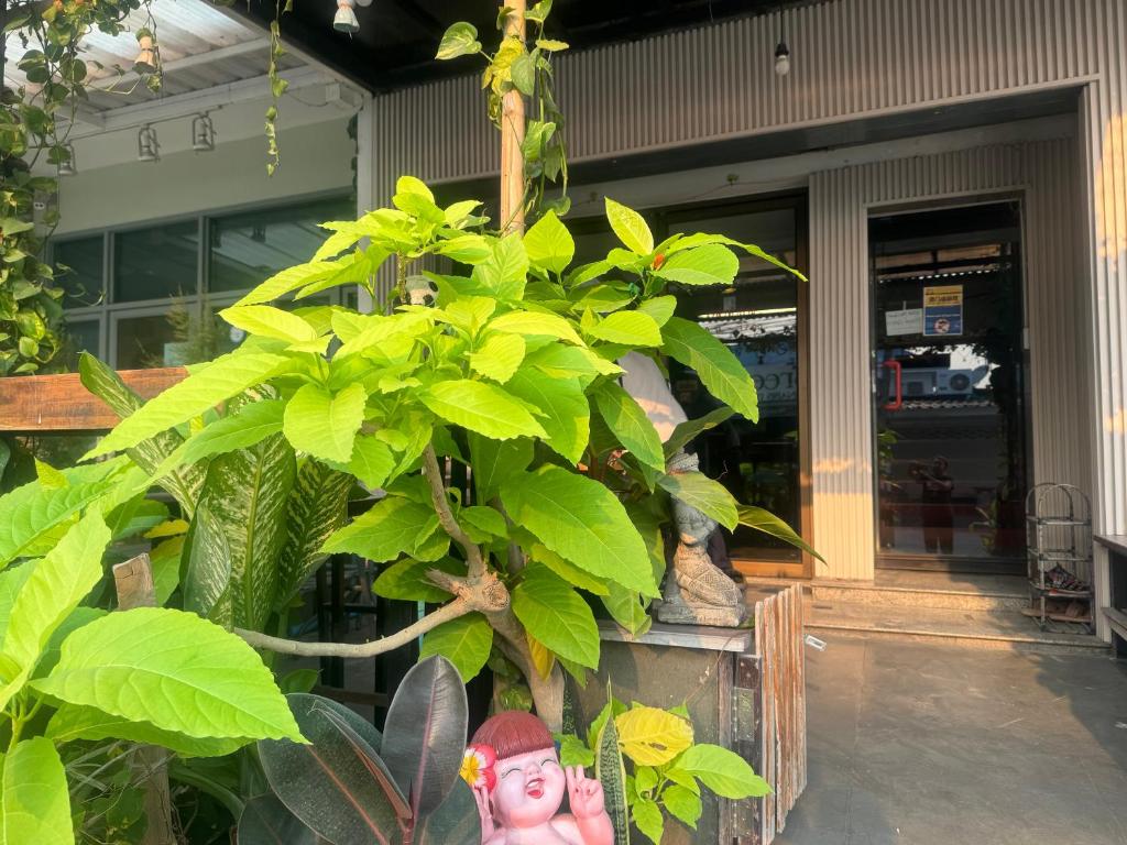 Chiangmai Panda Hostel(2), Chiang Mai (updated prices 2026)