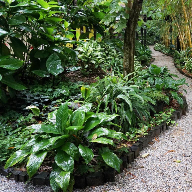 Jacana Amazon Wellness Resort, Paramaribo (updated prices 2025)